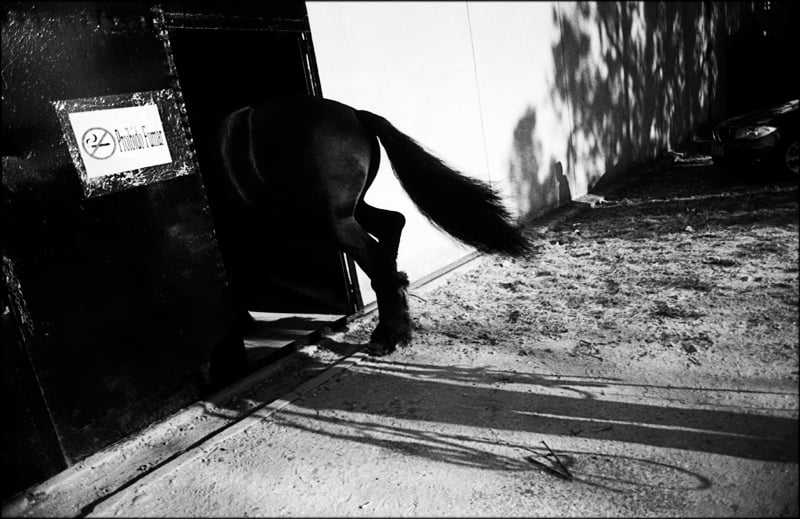 Alexandre Duarte - Fotografia